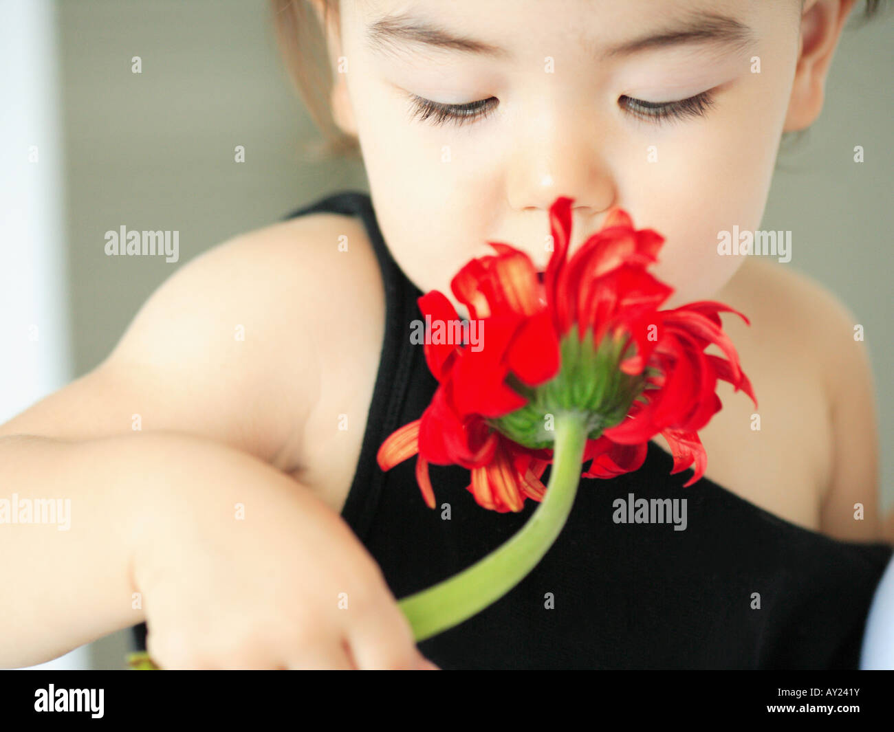 Close-up of a baby girl smelling a flower Stock Photo - Alamy