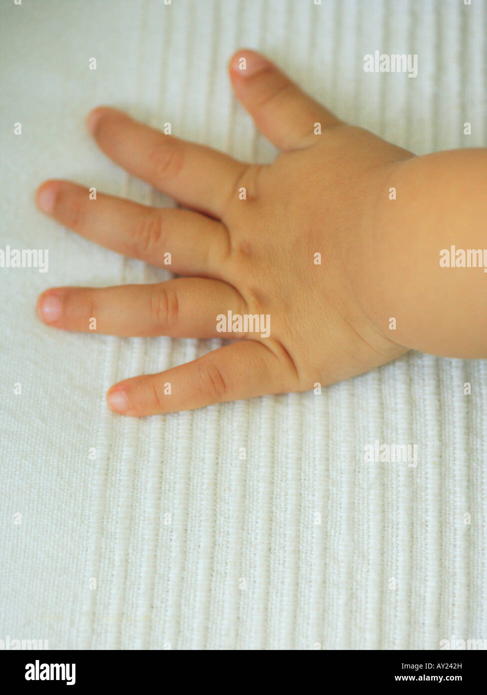 Close-up of a baby's hand Stock Photo - Alamy