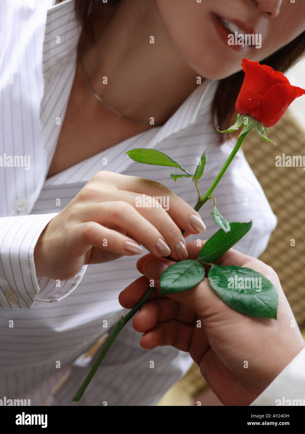A woman taking a rose from a person Stock Photo - Alamy