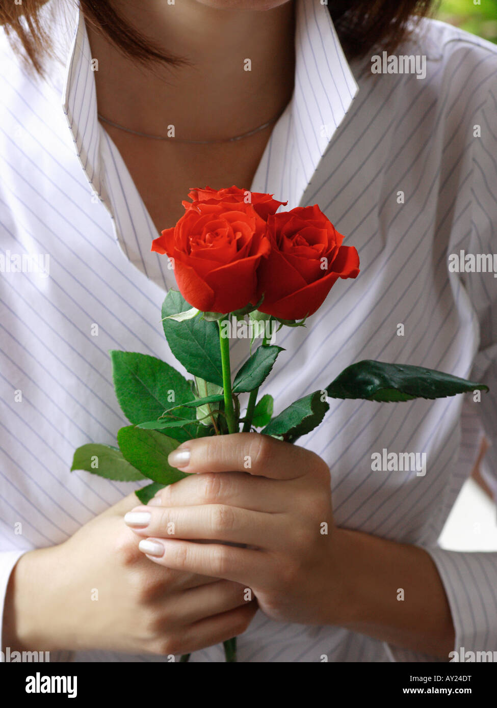Mid section view of a woman holding roses Stock Photo - Alamy