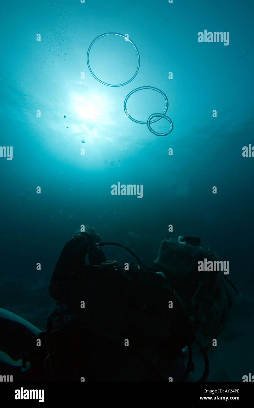 Bubble rings made by a diver float to the surface Bubbles are made ...