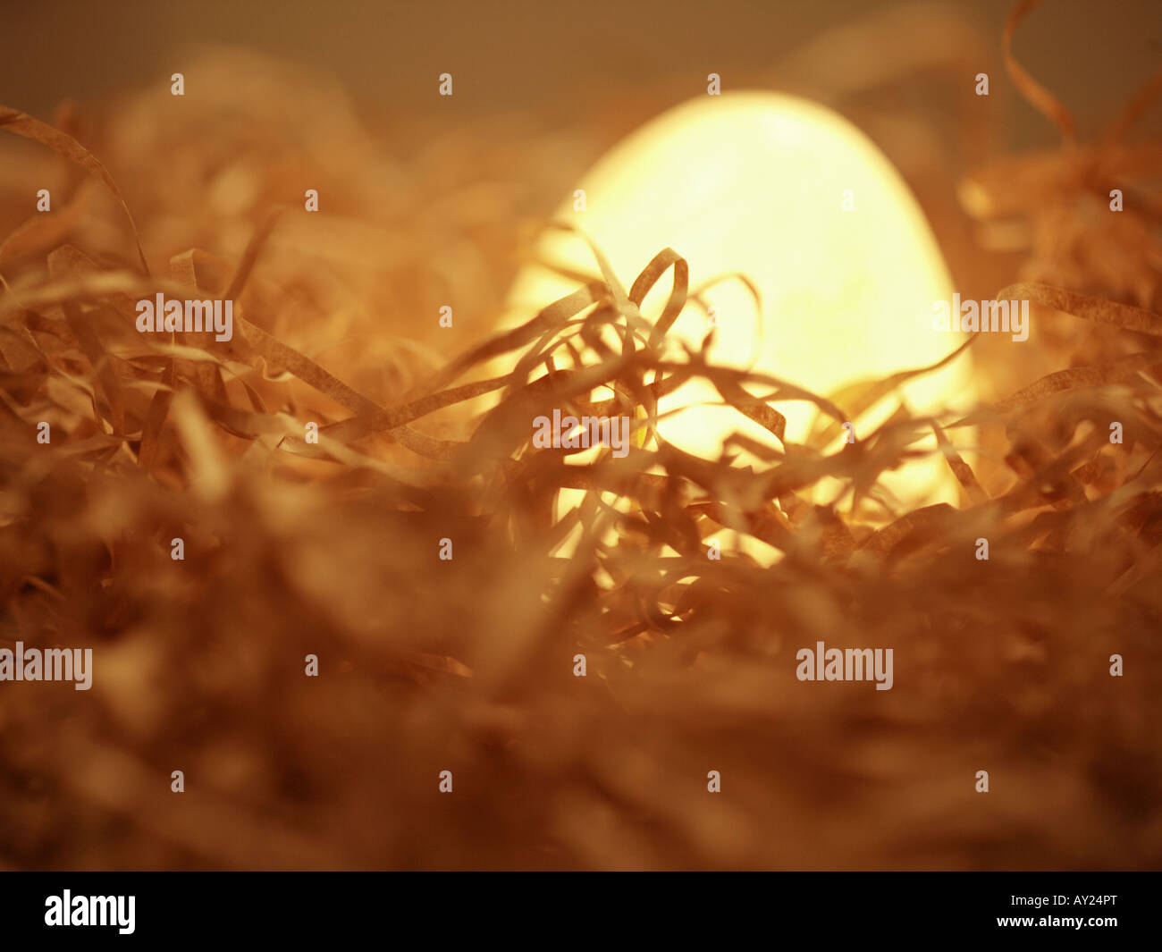 Glowing egg in nest hi-res stock photography and images - Alamy