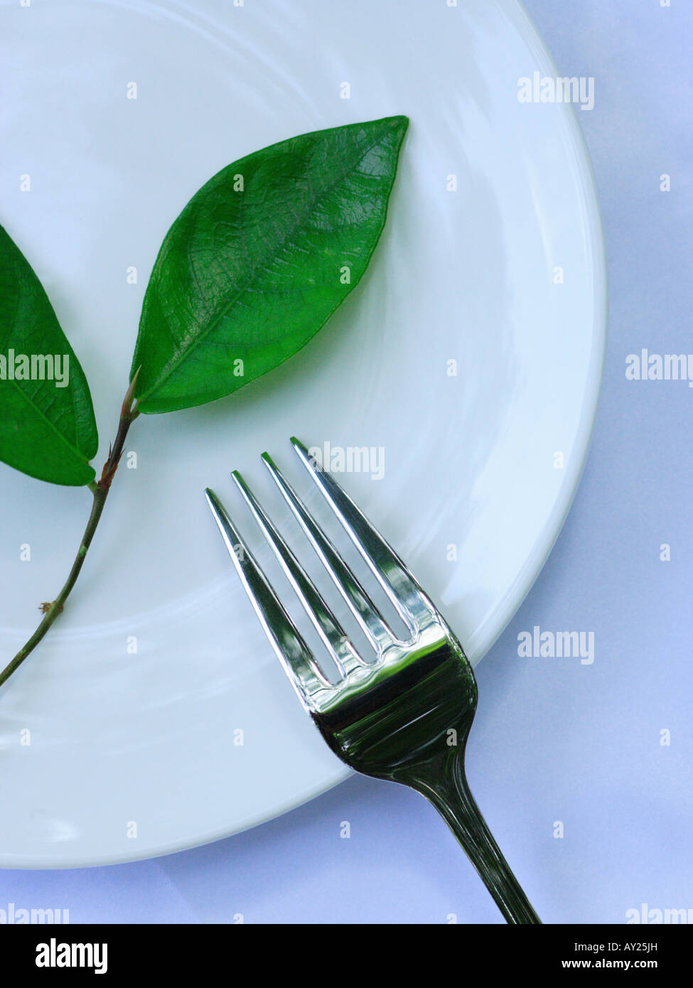 Close-up of Narra leaves and a fork in a plate (Pterocarpus Indicus ...