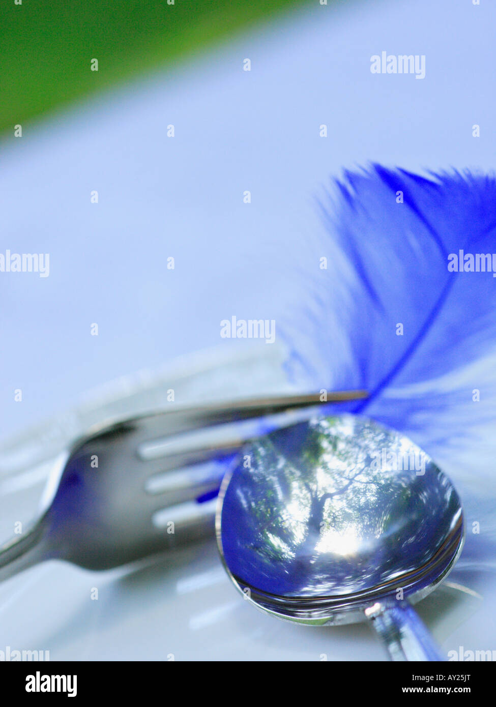 Close-up of a spoon and a fork with a feather in a plate Stock Photo ...