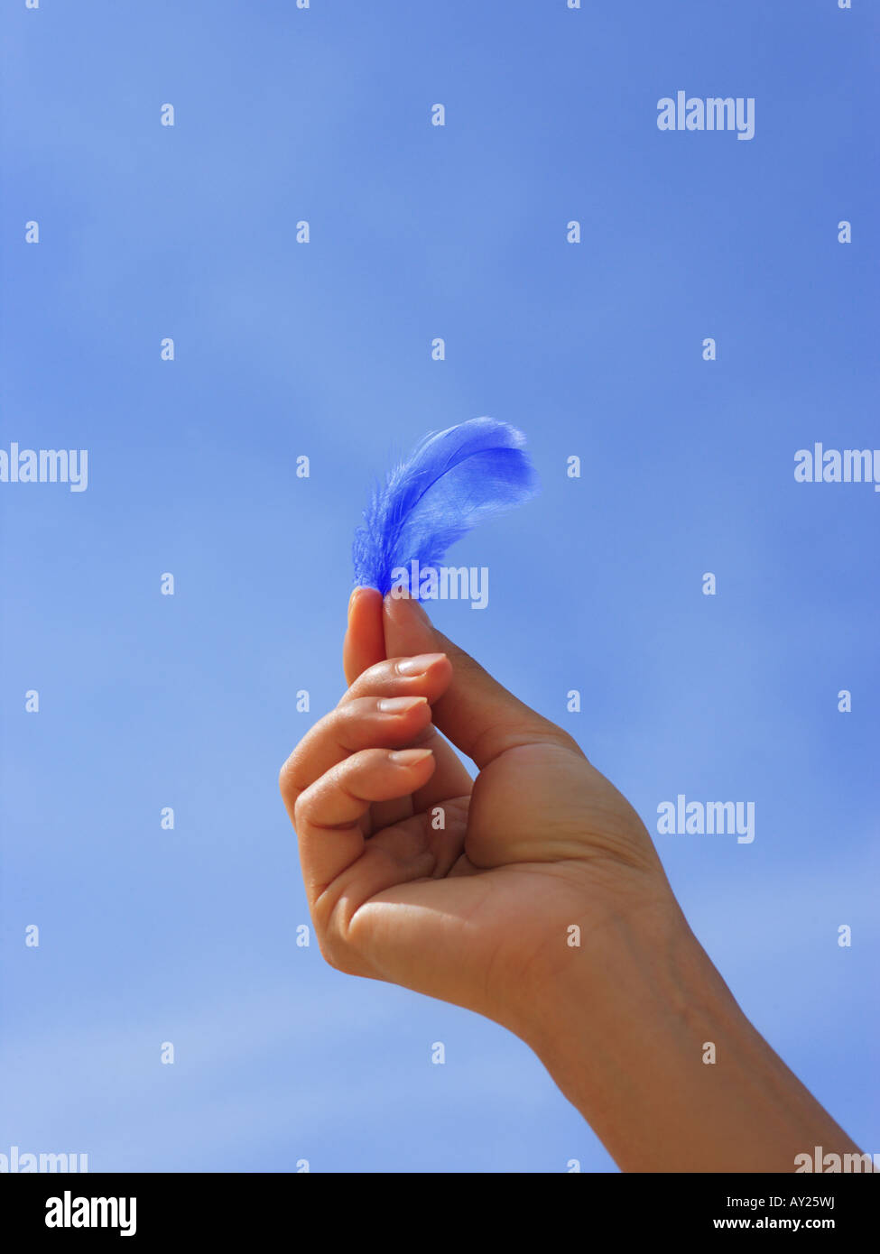 Close-up of a person's hand holding a feather Stock Photo - Alamy
