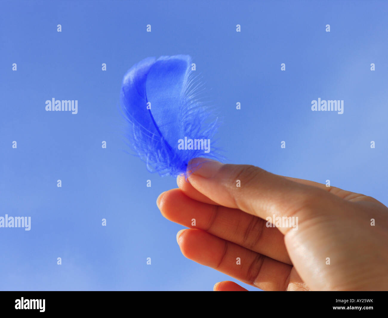 Close-up of a person's hand holding a feather Stock Photo - Alamy