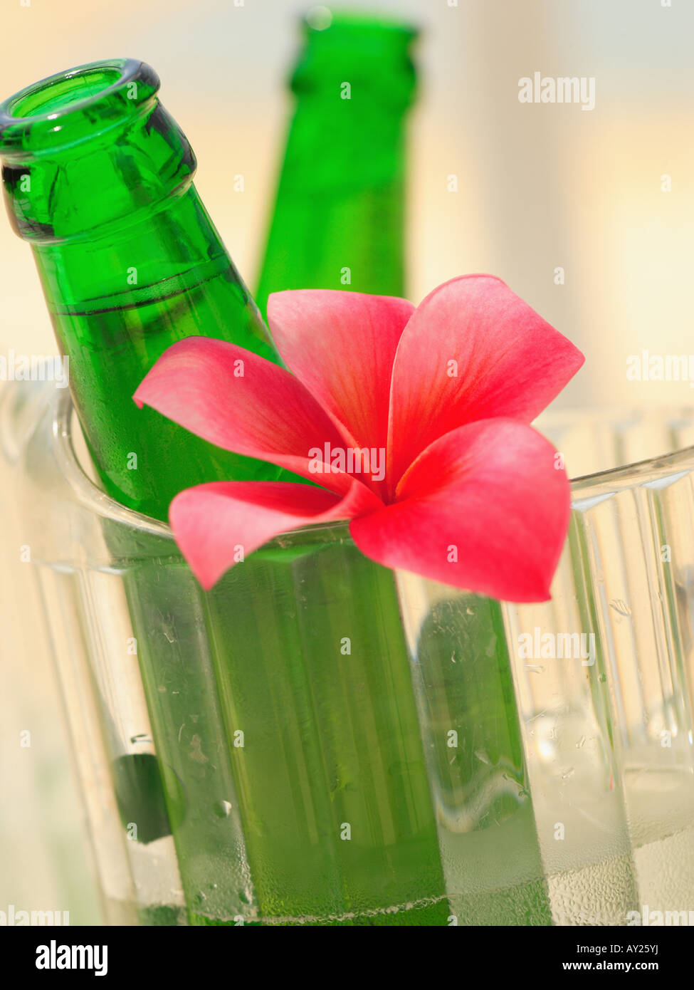 Close-up of a beer bottle and a flower in a jug Stock Photo - Alamy