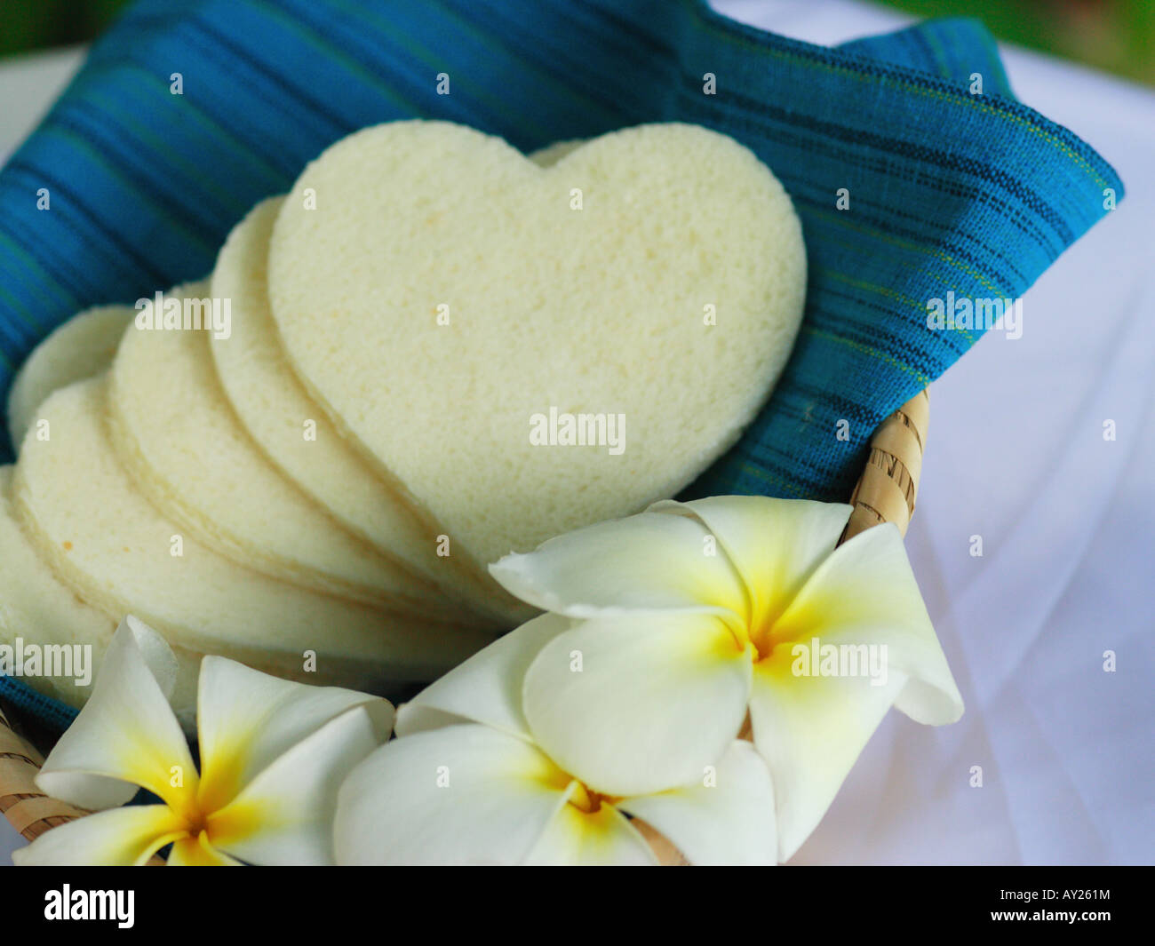 High angle view frangipani flower hi-res stock photography and images ...