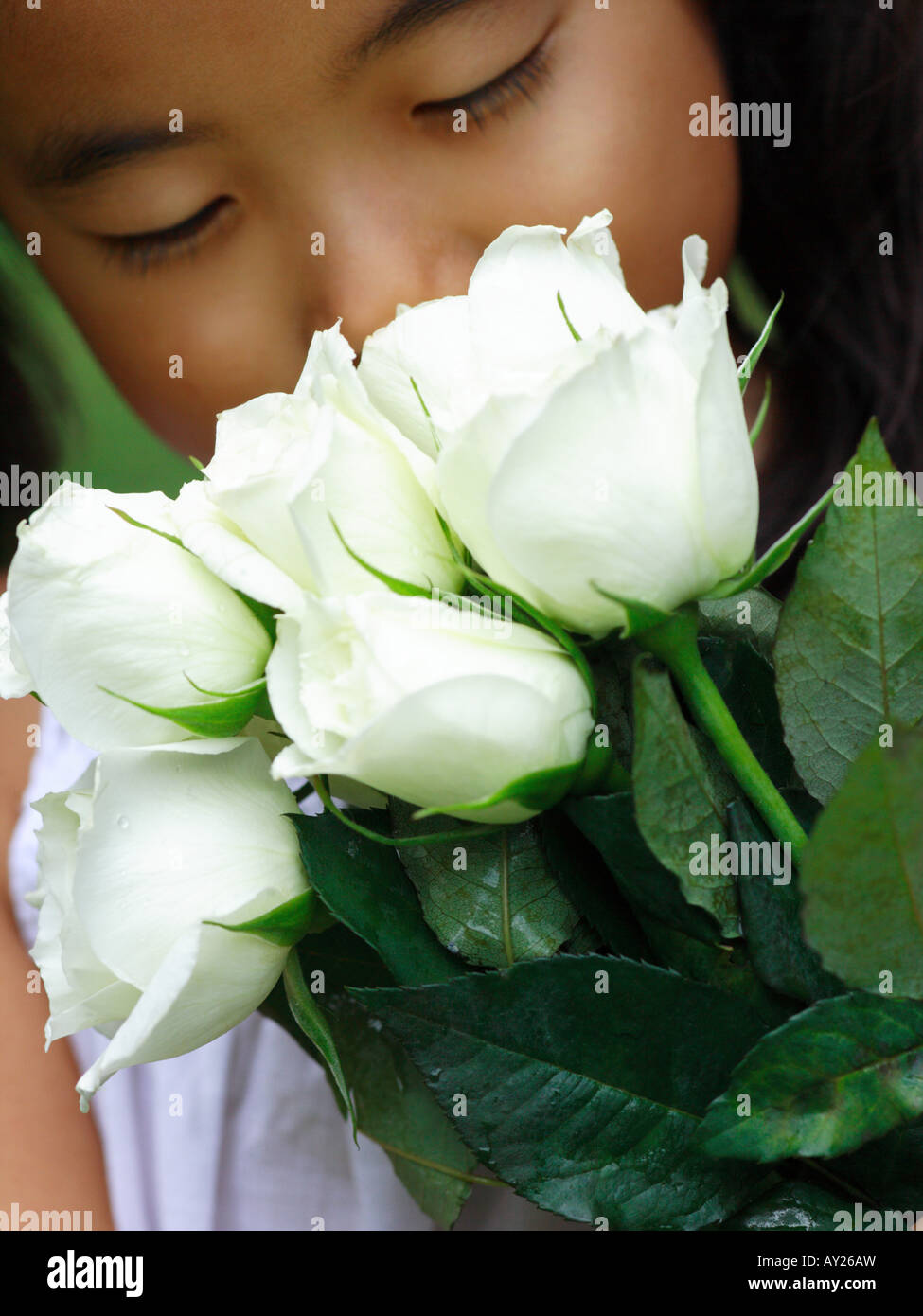 Close-up of a girl smelling white roses Stock Photo - Alamy