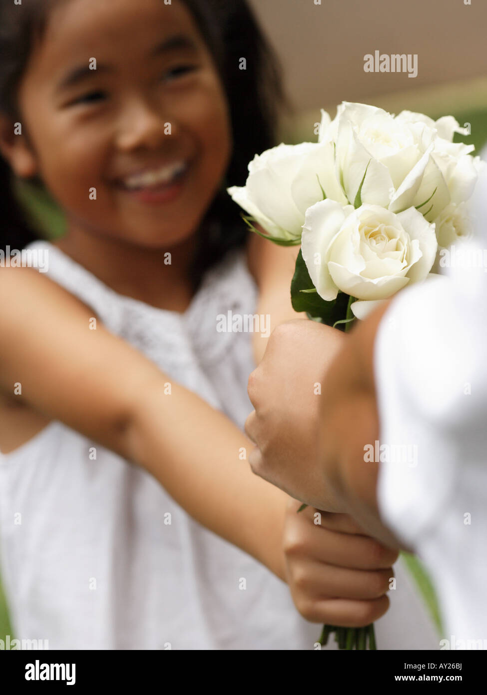 Close-up of a girl giving a bunch of white roses to a person Stock ...