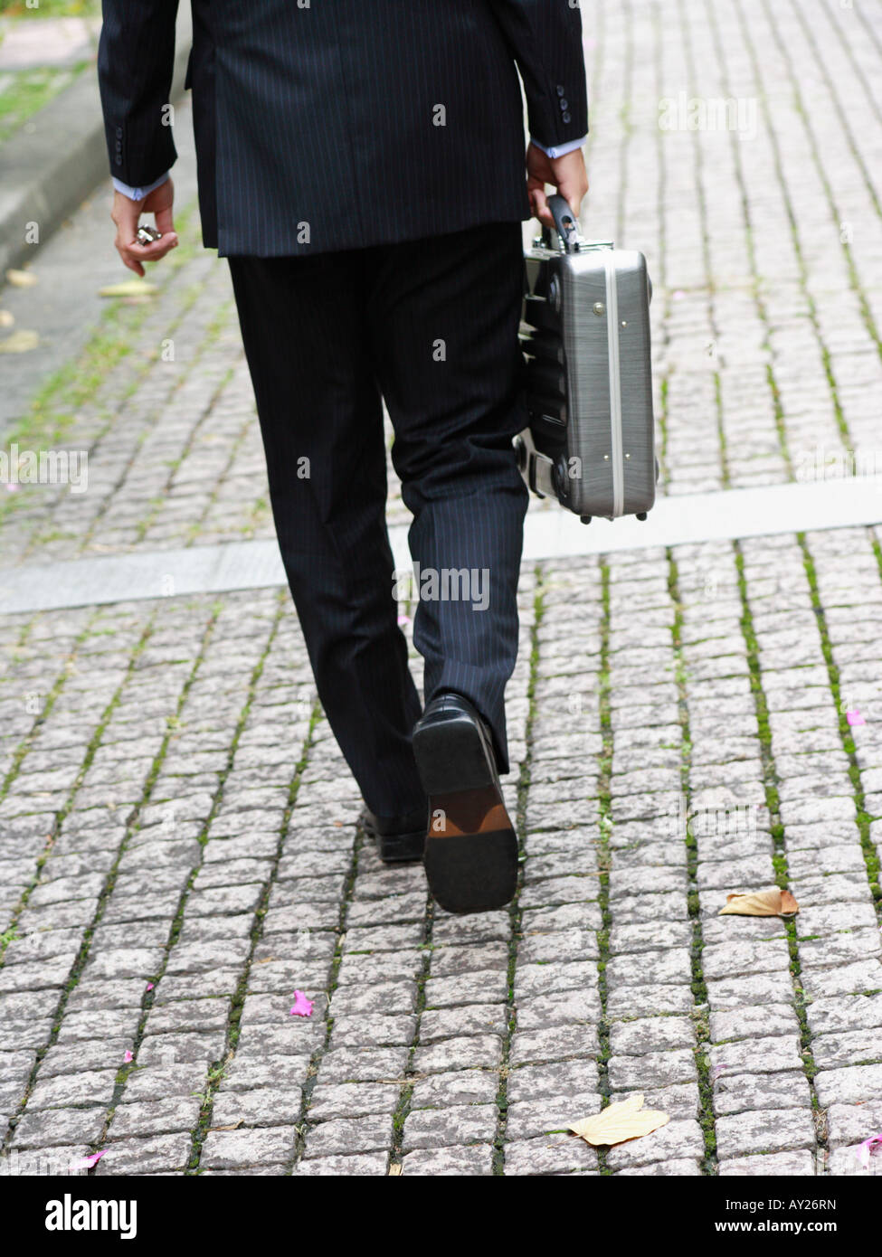 Low section view of a businessman carrying a briefcase Stock Photo - Alamy