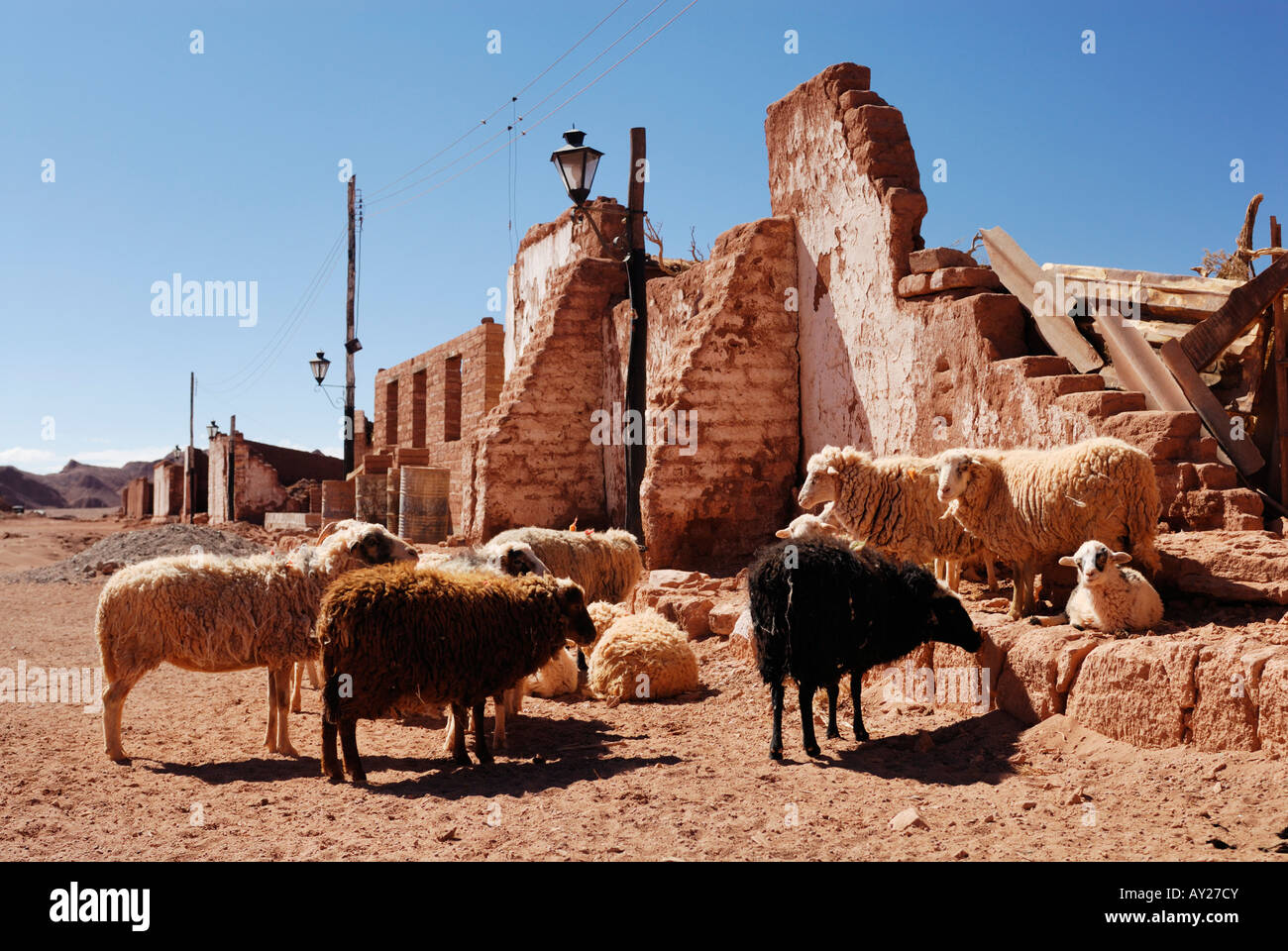 Tolar Grande, High Andean Puna, Department of Los Andes, Province of ...