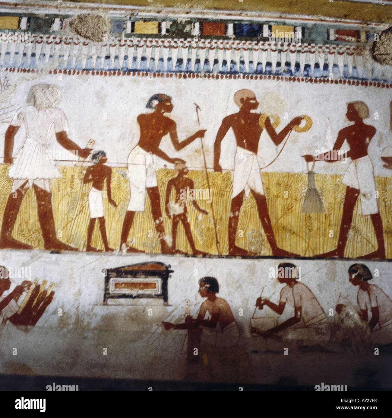 Measuring a corn field hi-res stock photography and images - Alamy