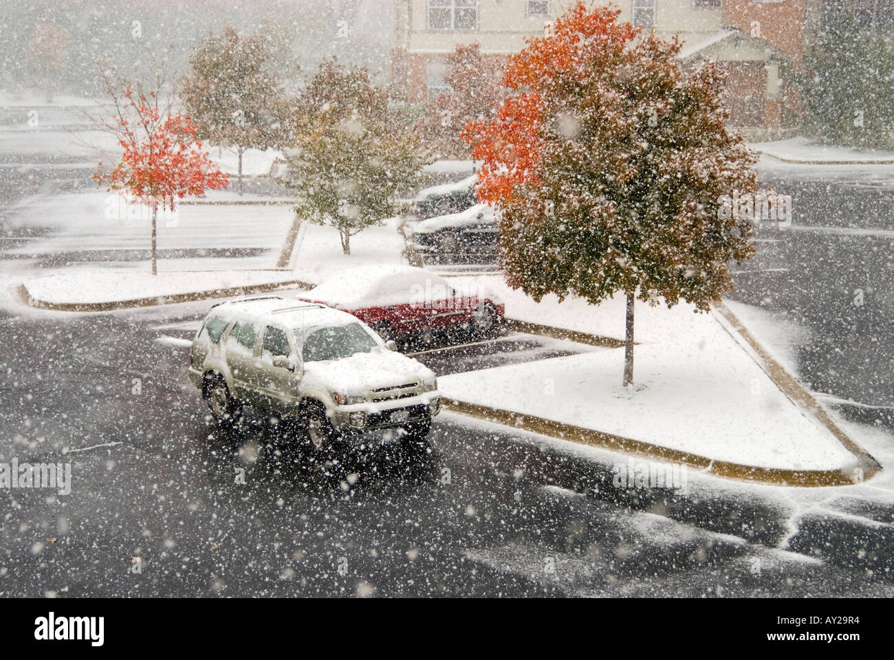 Early first snowfall hi-res stock photography and images - Alamy