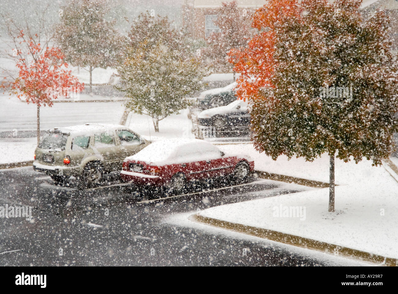 Early first snowfall hi-res stock photography and images - Alamy