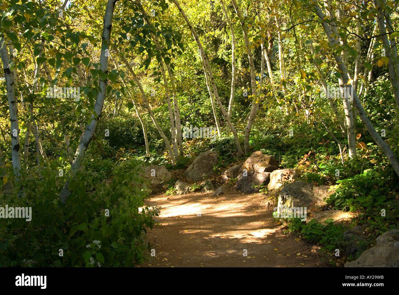 Sensory Garden Path Stock Photo - Alamy