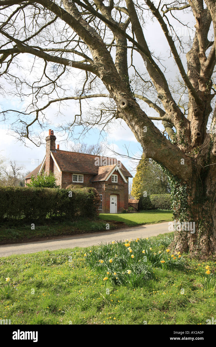The Common at Cookley Green Oxfordshire Stock Photo - Alamy