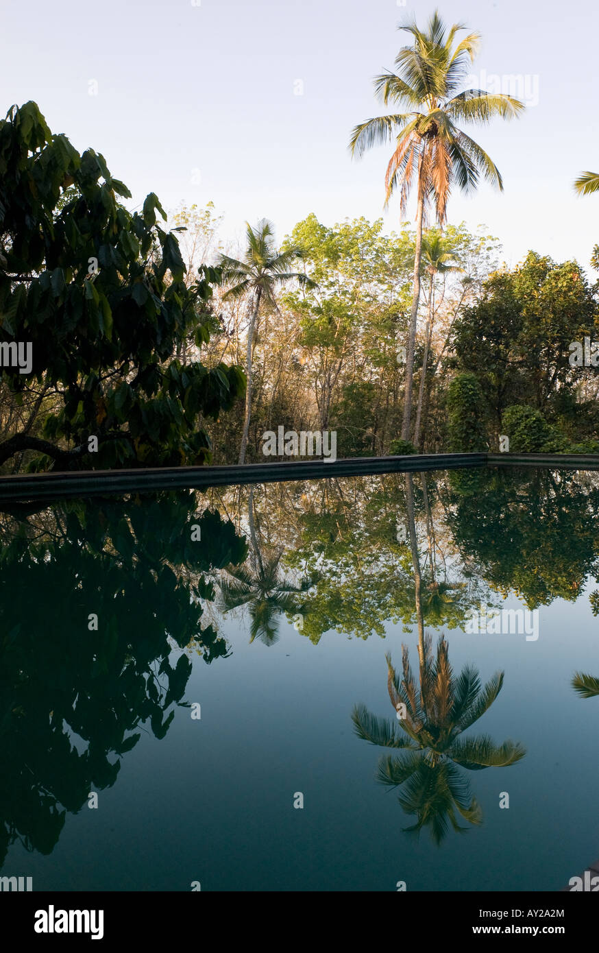 Jungle swimming pool hi-res stock photography and images - Alamy