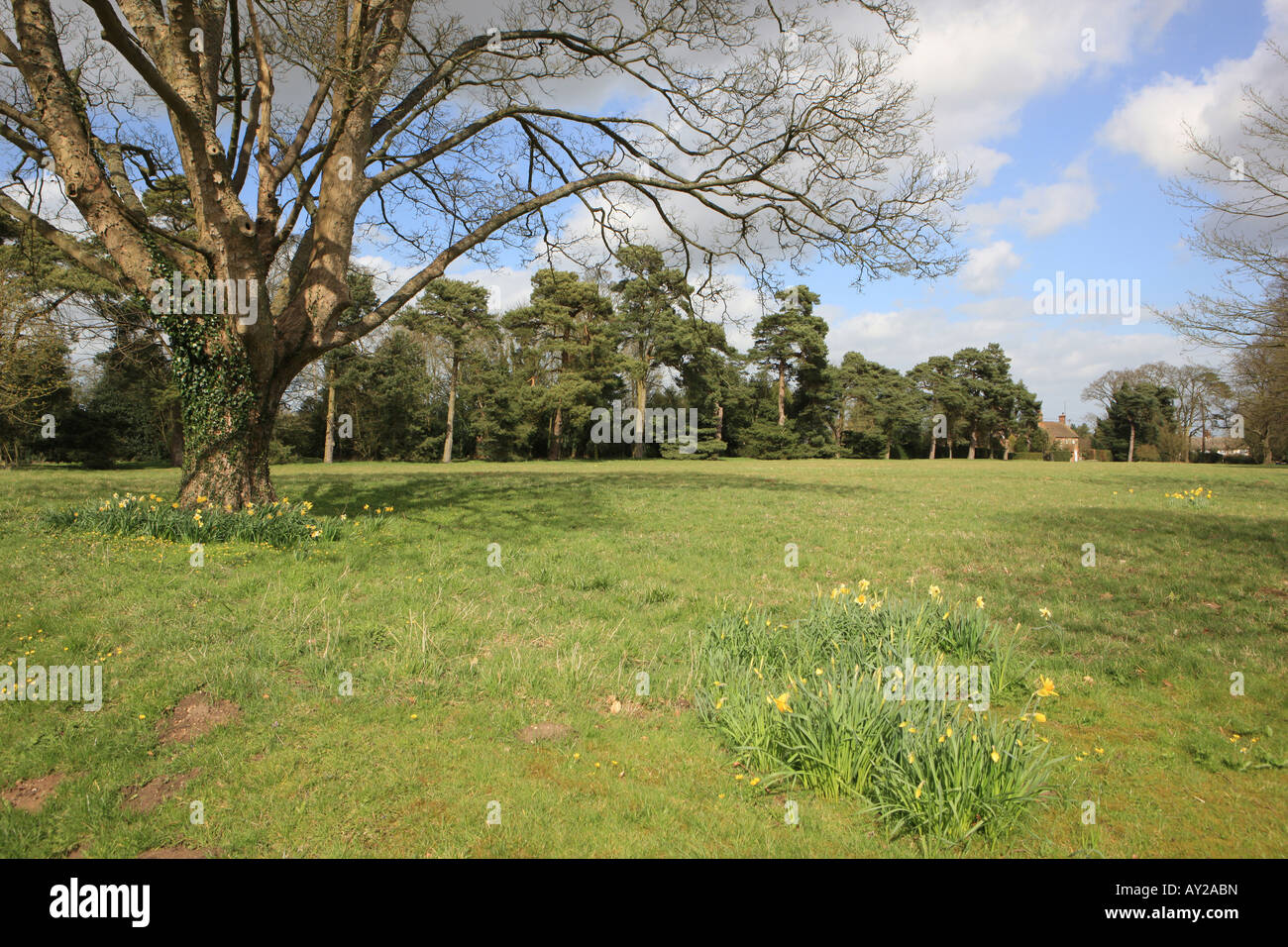 The Common at Cookley Green Oxfordshire Stock Photo - Alamy