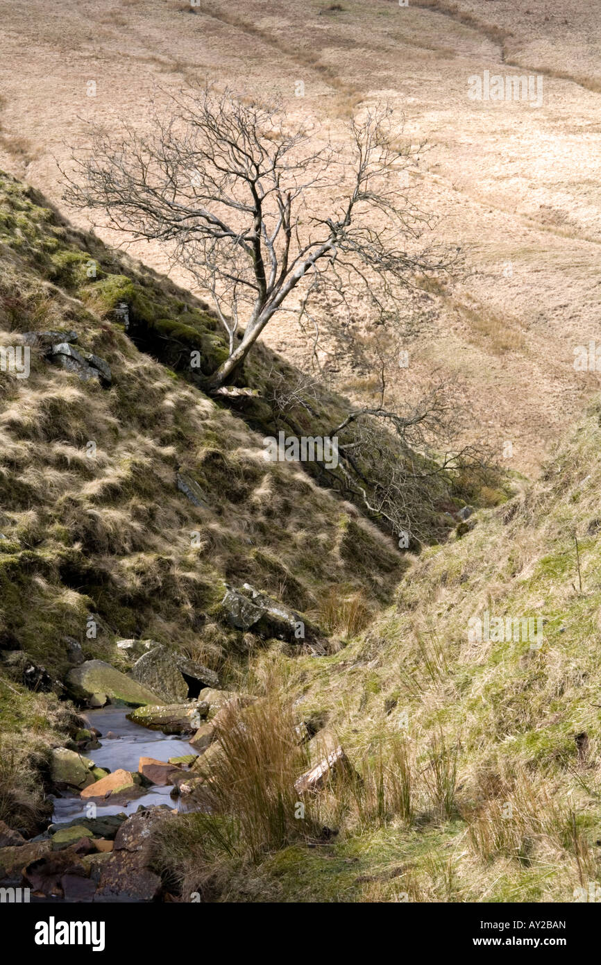 Stream cut valley hi-res stock photography and images - Alamy