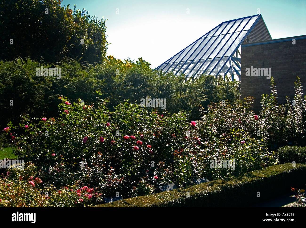 Greenhouse & Rose Gardens Stock Photo - Alamy