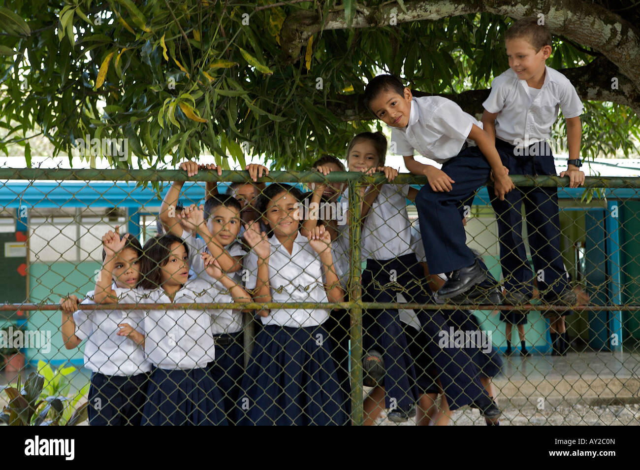A group of school children climbing over a fence Stock Photo - Alamy