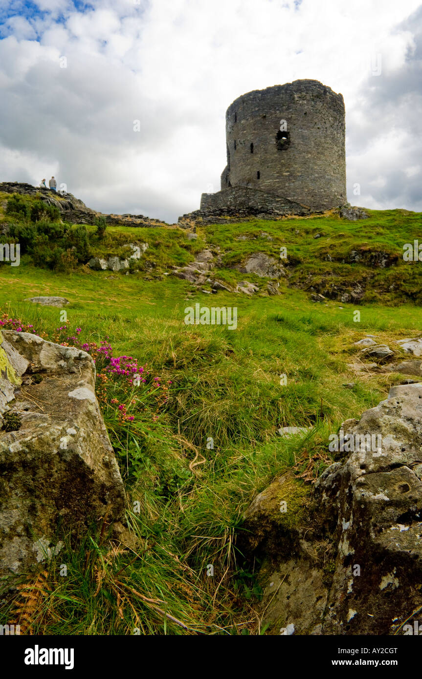 Dolbadarn Castle, Wales Stock Photo - Alamy