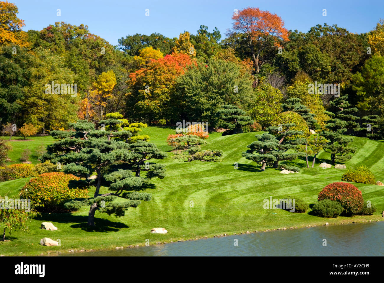 Fall Japanese Garden Stock Photo - Alamy