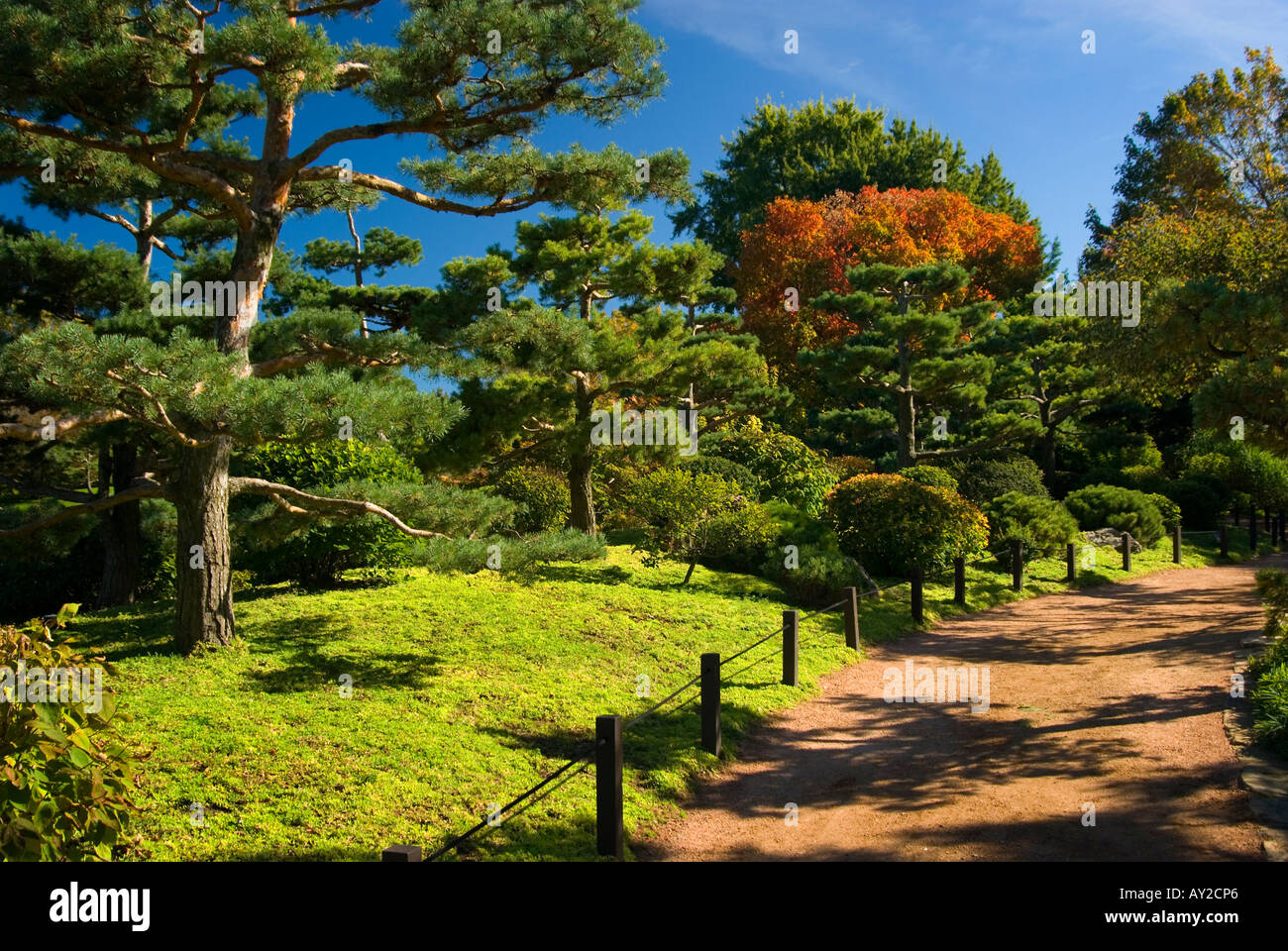 Japanese Garden Path 2 Stock Photo - Alamy