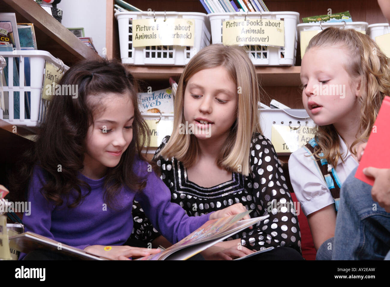 Grade School Library High Resolution Stock Photography and Images - Alamy