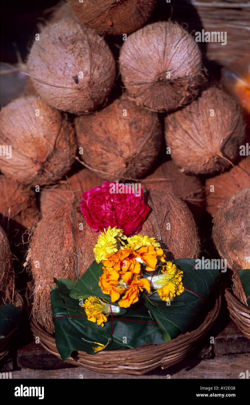 Coconut offerings outside Sri Kalahasti temple in Southern Andhra ...