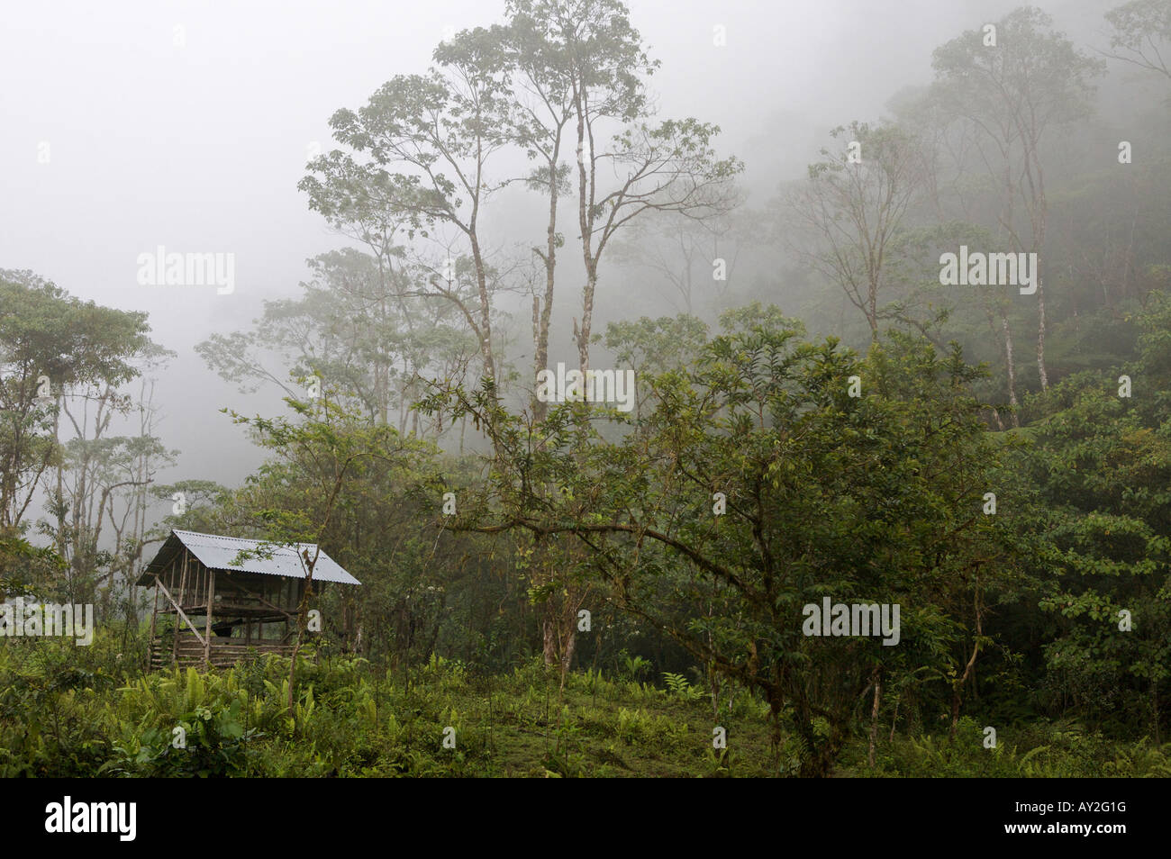 A wooden shack in the rain forest in Costa Rica Stock Photo - Alamy