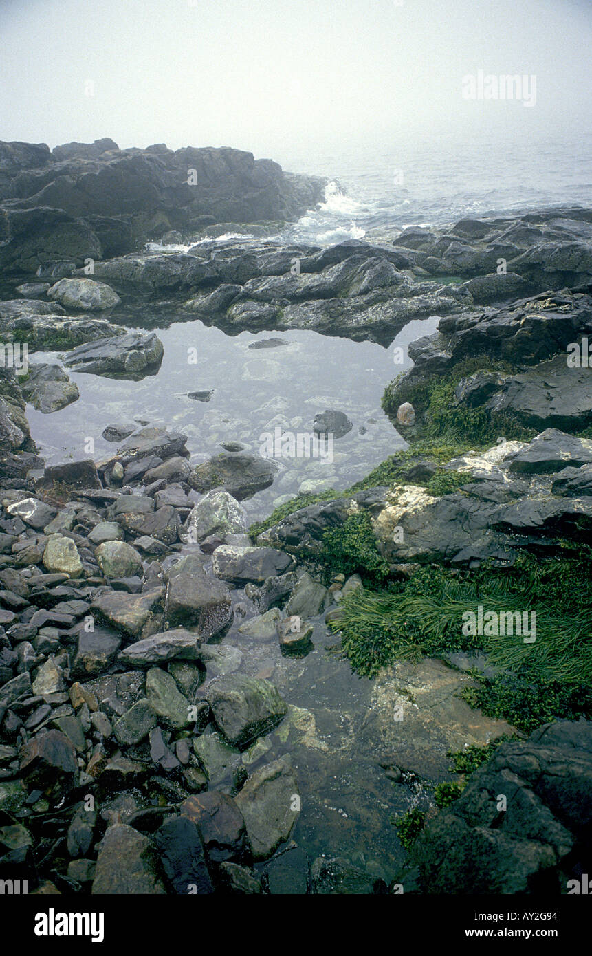 Pools acadia hi-res stock photography and images - Alamy