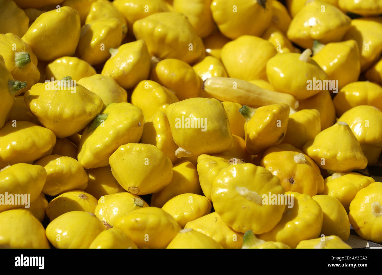 Elongated squash hi-res stock photography and images - Alamy