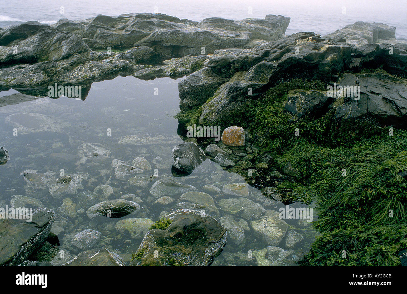 Pools acadia hi-res stock photography and images - Alamy
