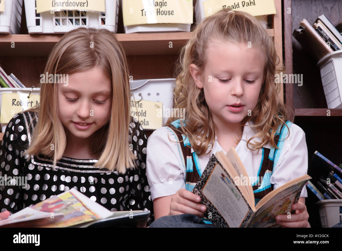 Stock Photograph of grade schoolers reading in the class library Stock ...