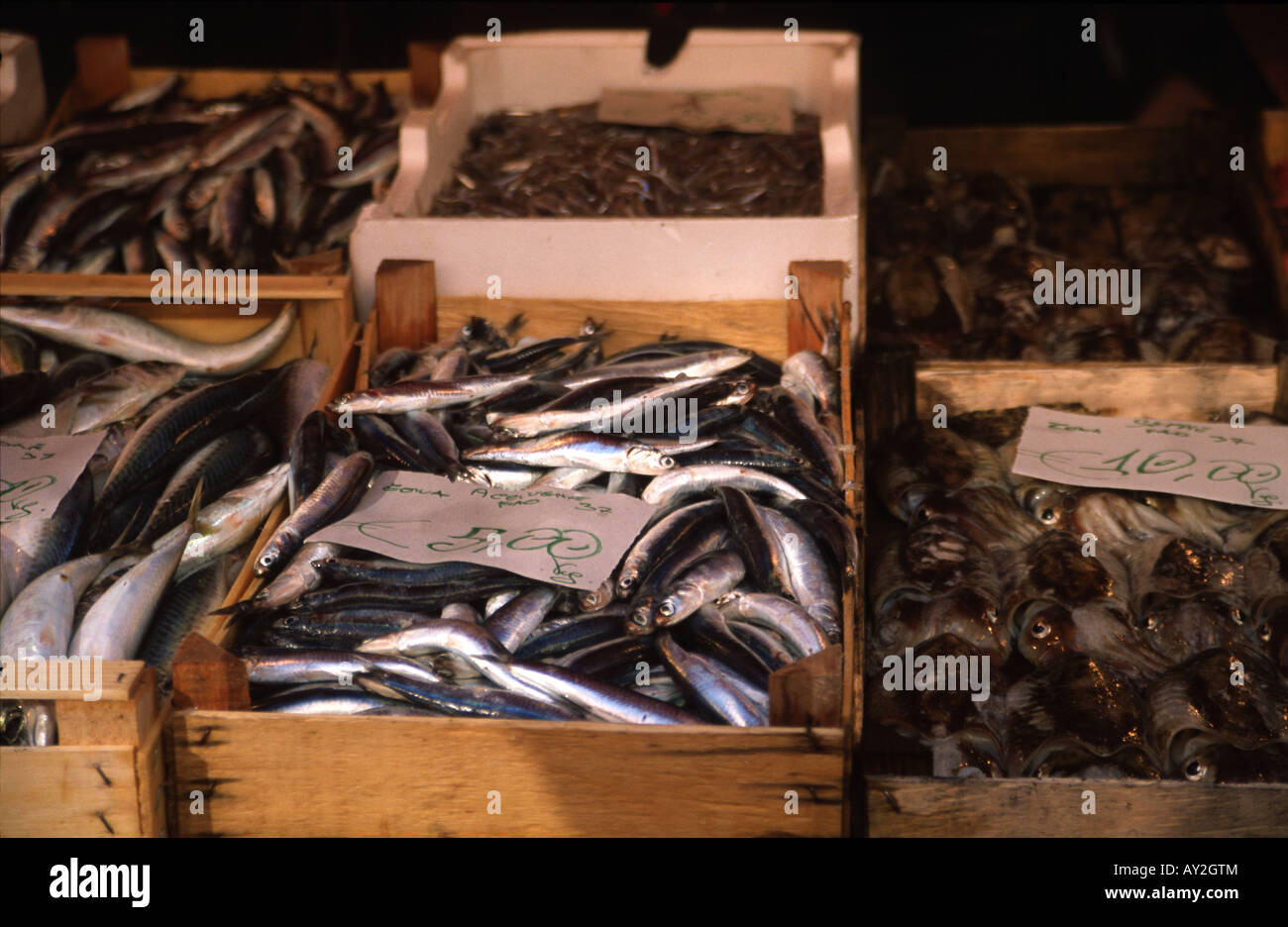 Various types of fishes on the fish market of Milazzo, Sicily, Italy ...