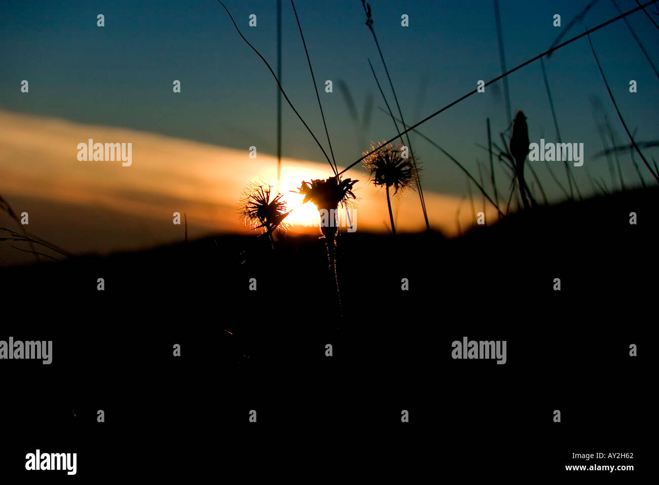 Panorama with mountains sun sunset clouds and smooth blue sky With ...