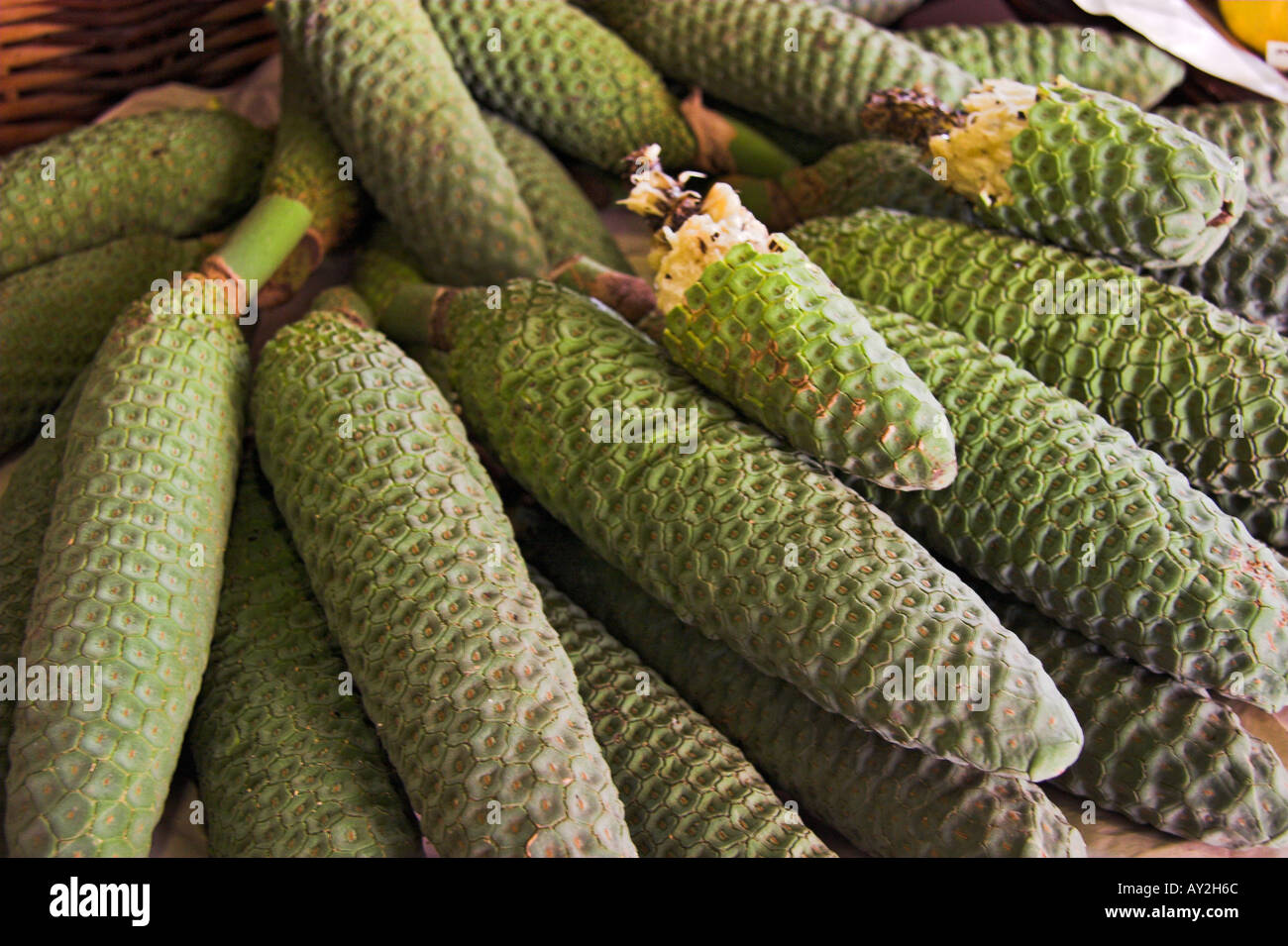 Display of Pineapple Bananas on a market stall at the Mercado dos ...
