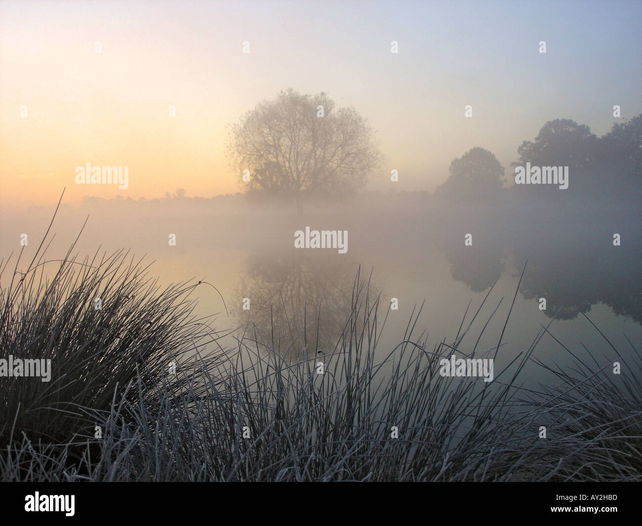 Frosty dawn at Leg of Mutton Pond Bushy Park London England Stock Photo ...