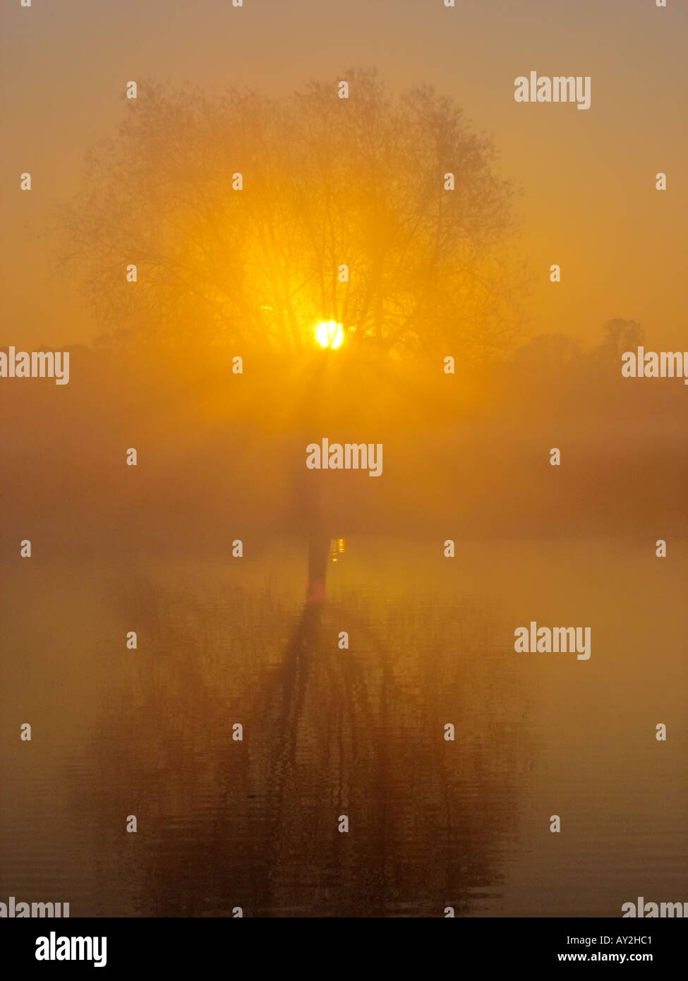 Sunrise over Leg of Mutton Pond Bushy Park London England Stock Photo ...