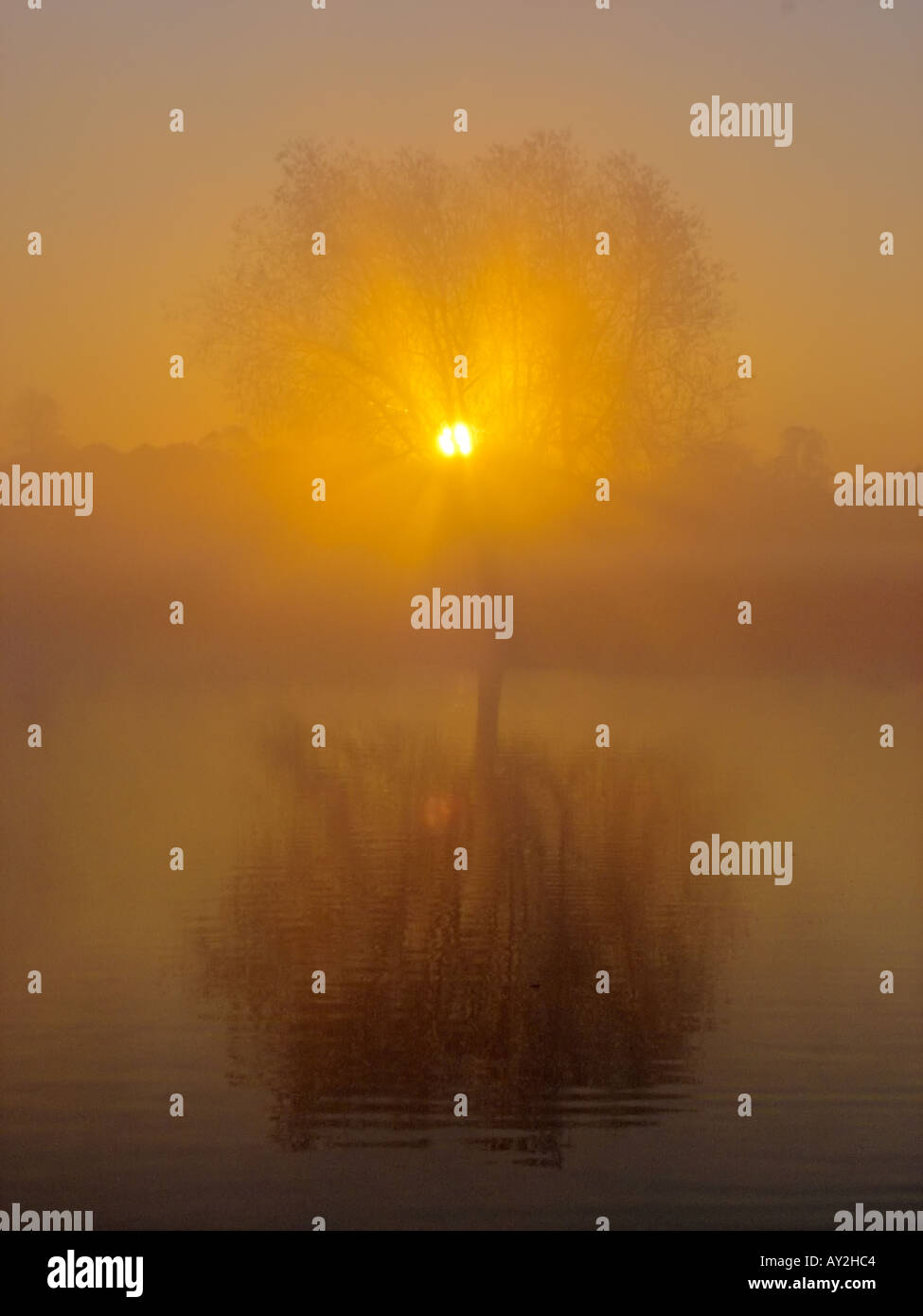 Sunrise over Leg of Mutton Pond Bushy Park London England Stock Photo ...