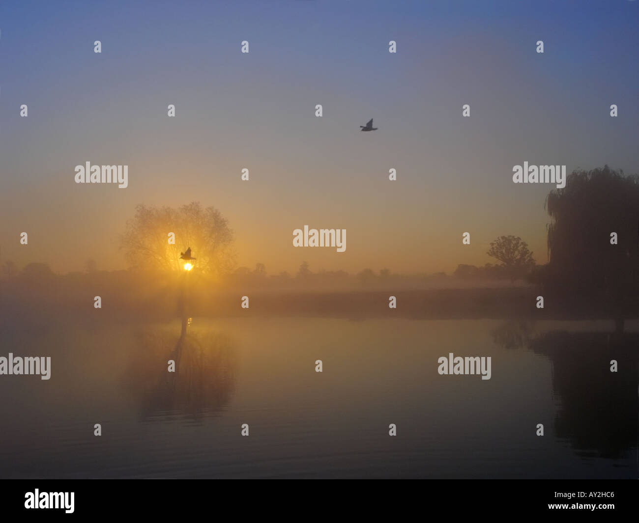 Sunrise over Leg of Mutton Pond Bushy Park London England Stock Photo ...