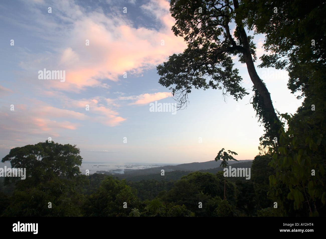 Brownsberg national park suriname hi-res stock photography and images ...