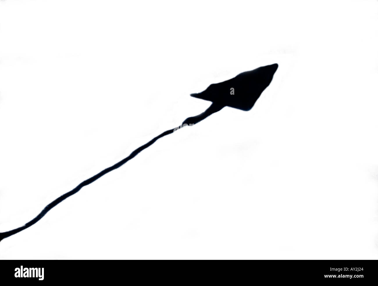 shadow of road sign in the snow arrow simbolic Stock Photo - Alamy