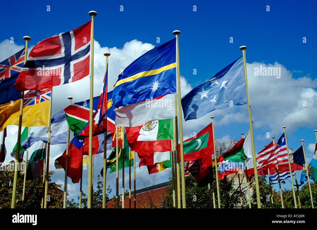 Flags from member countries During the General Conference at UNESCO ...