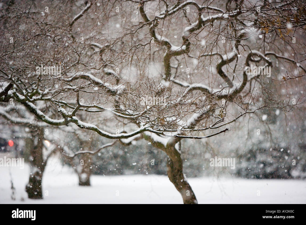 New england blizzard hi-res stock photography and images - Alamy
