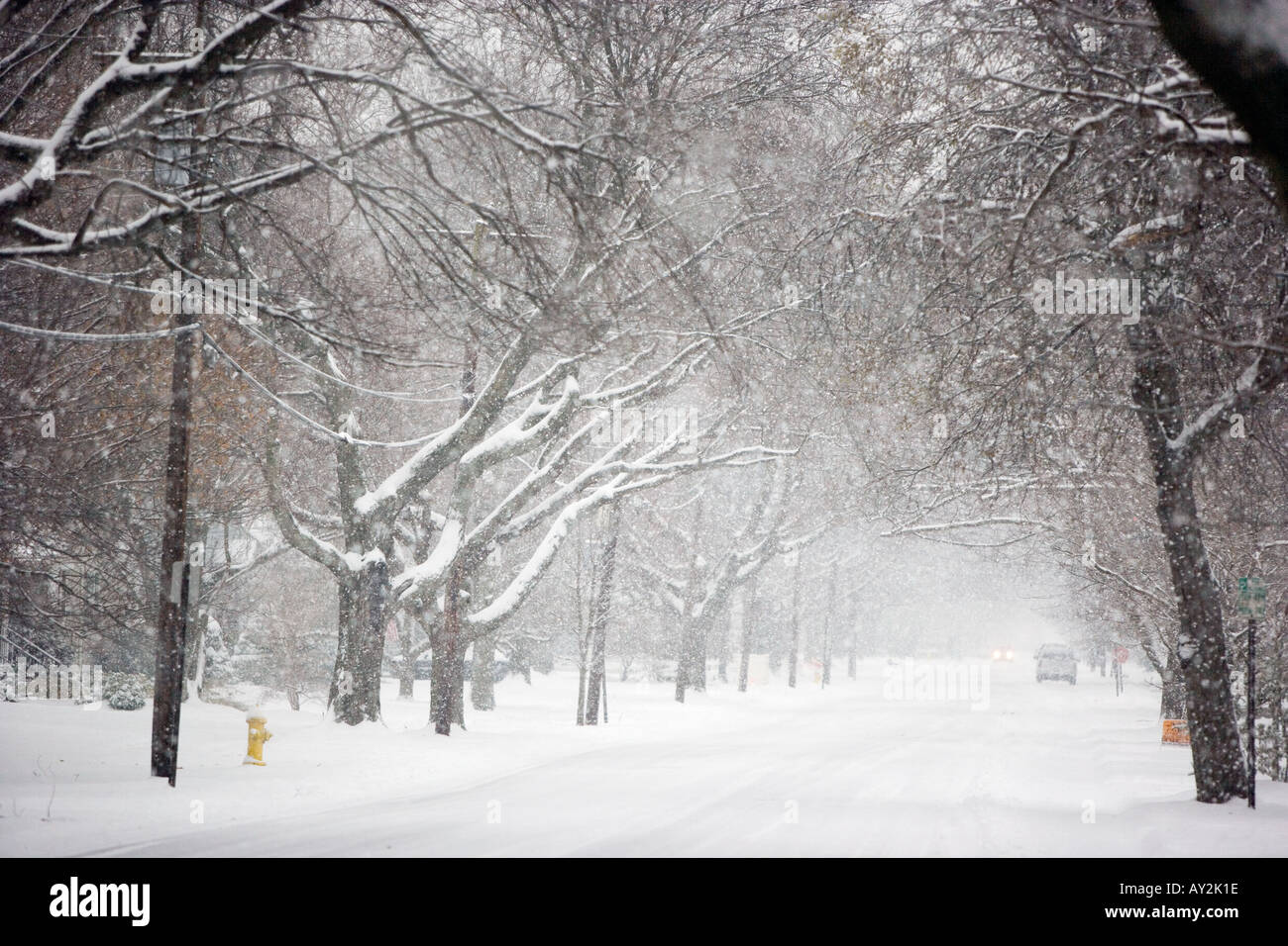 Snowy tree lined street in a New England town Stock Photo - Alamy