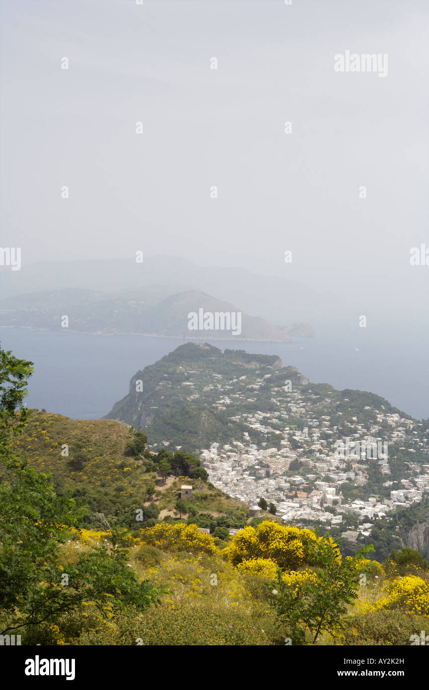 Capri fauna hi-res stock photography and images - Alamy