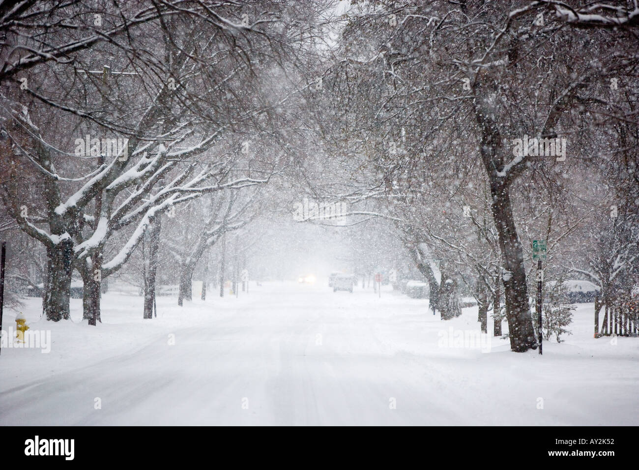 Snowy tree-lined street in a New England town Stock Photo - Alamy